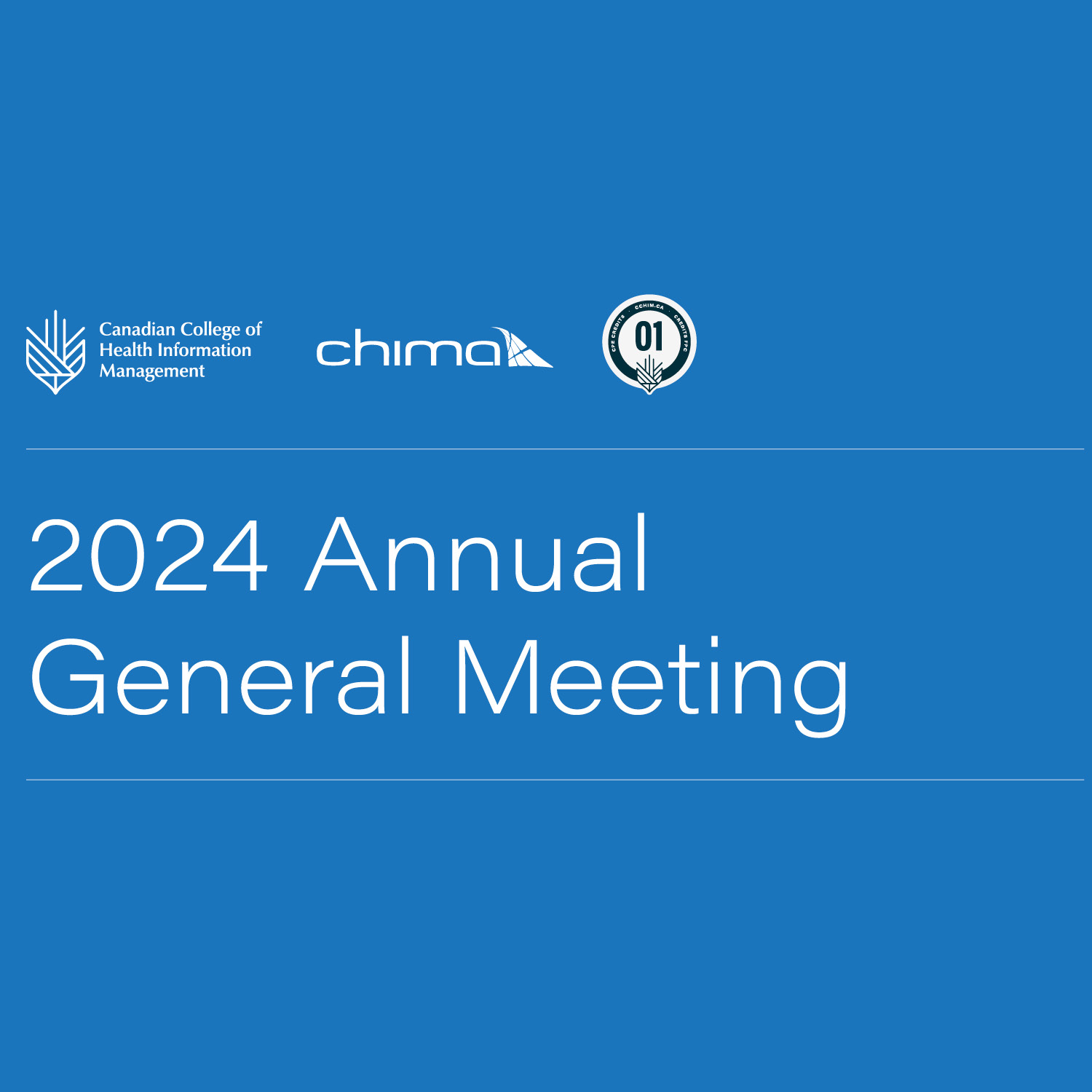 0266 Annual General Meeting 2024 – CHIMA